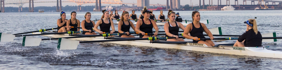 Insights – podiumx.com